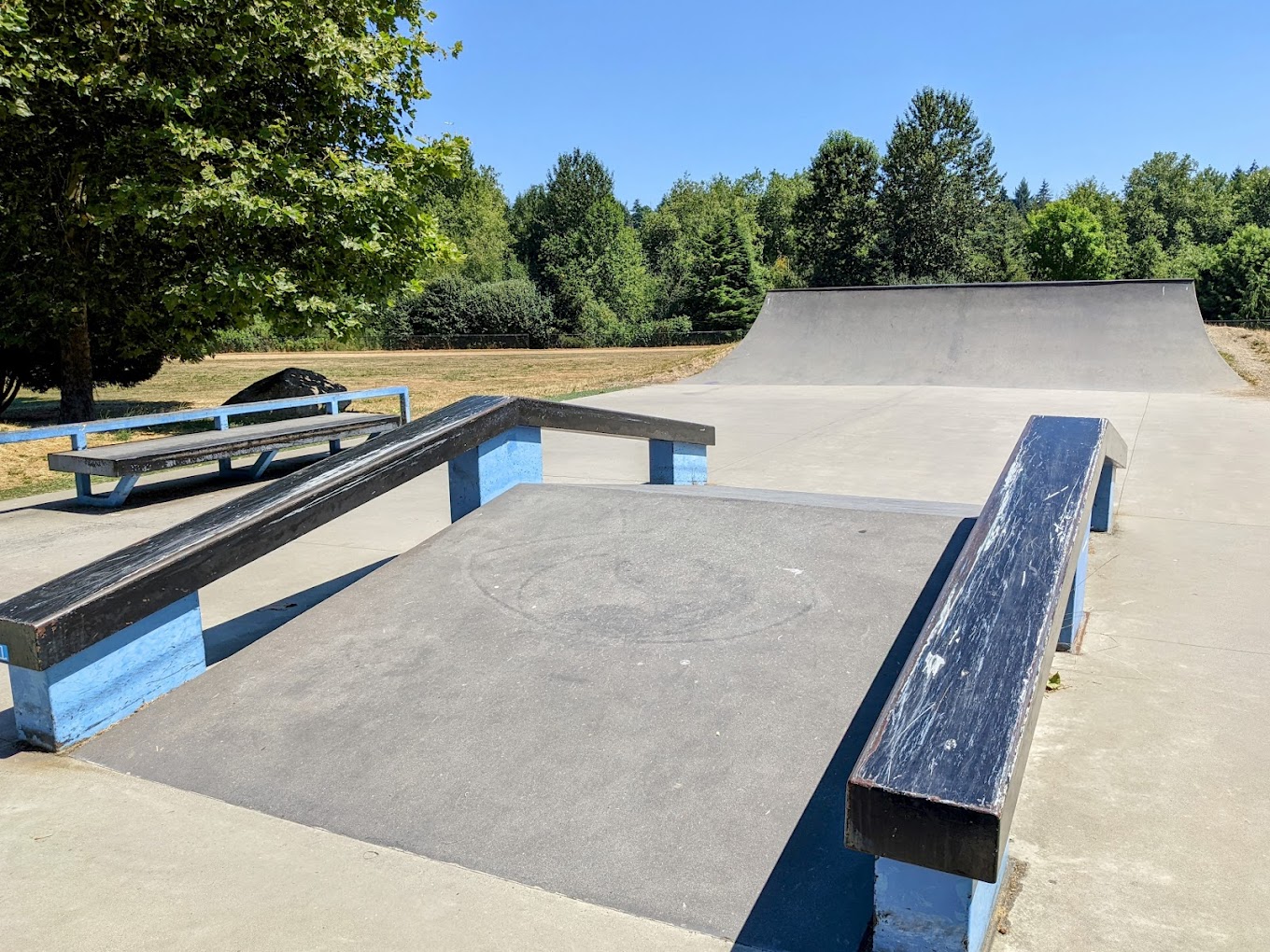 Roxhill Skatepark | Skatedex