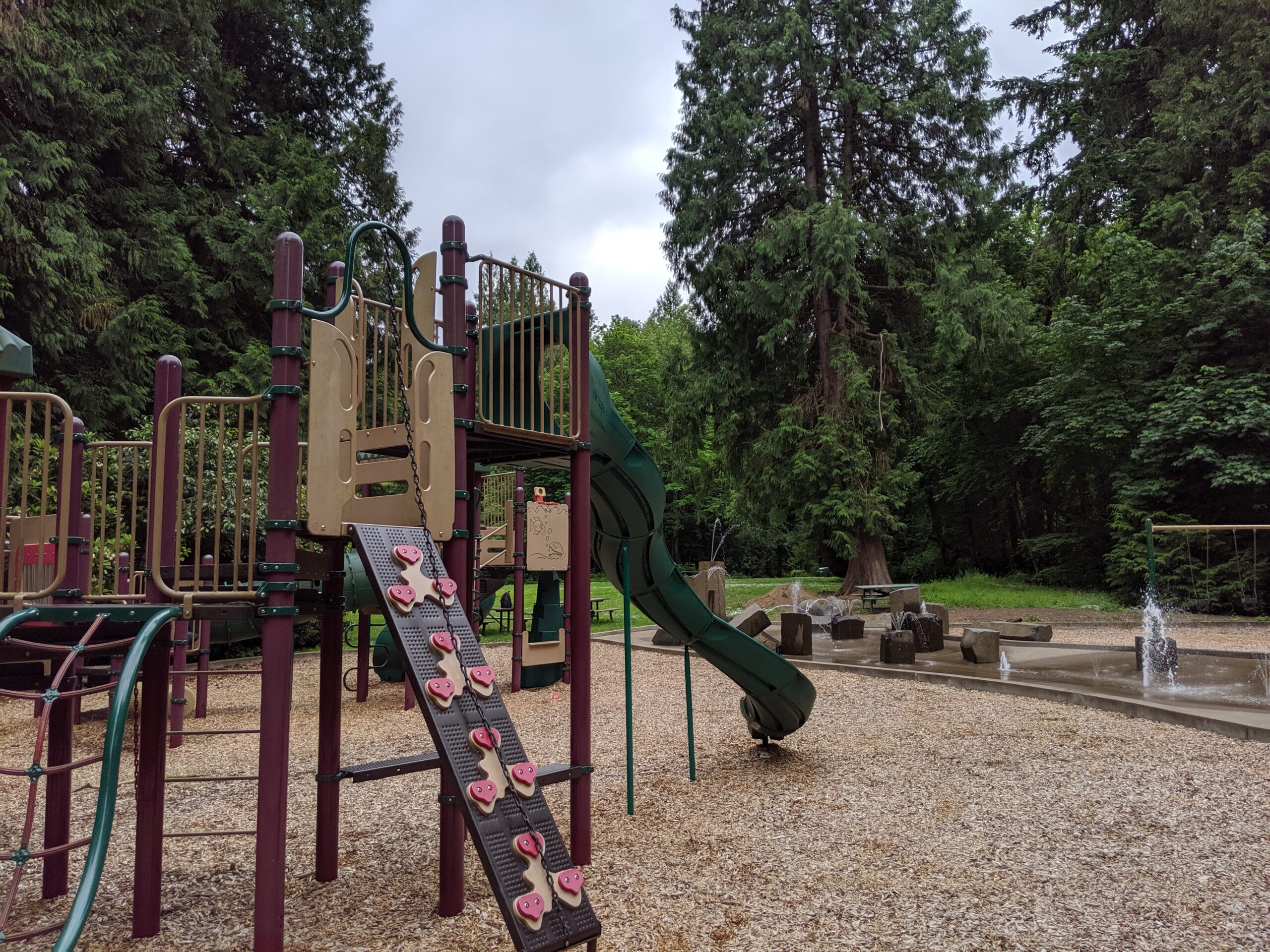 Robinwood Skatepark - Skatedex