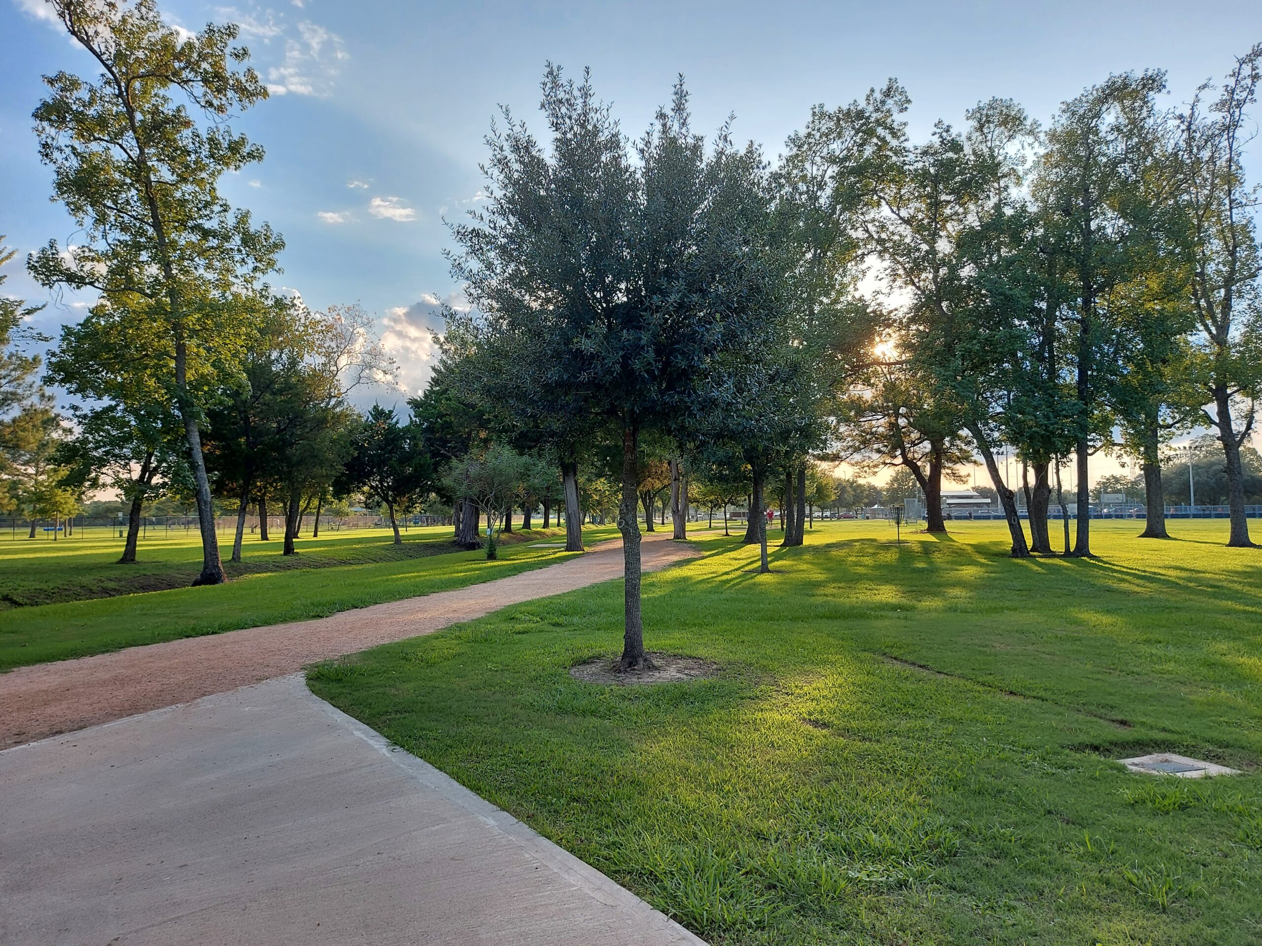 Jenkins Skatepark - Skatedex