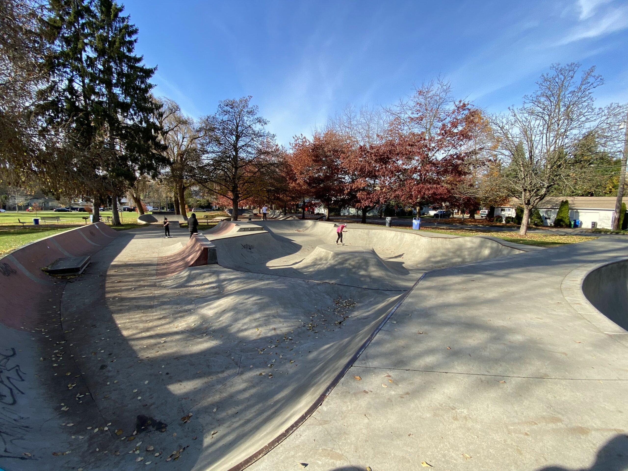 Delridge Skatepark - Skatedex
