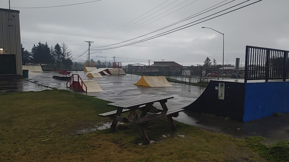 Homer Skatepark - Skatedex