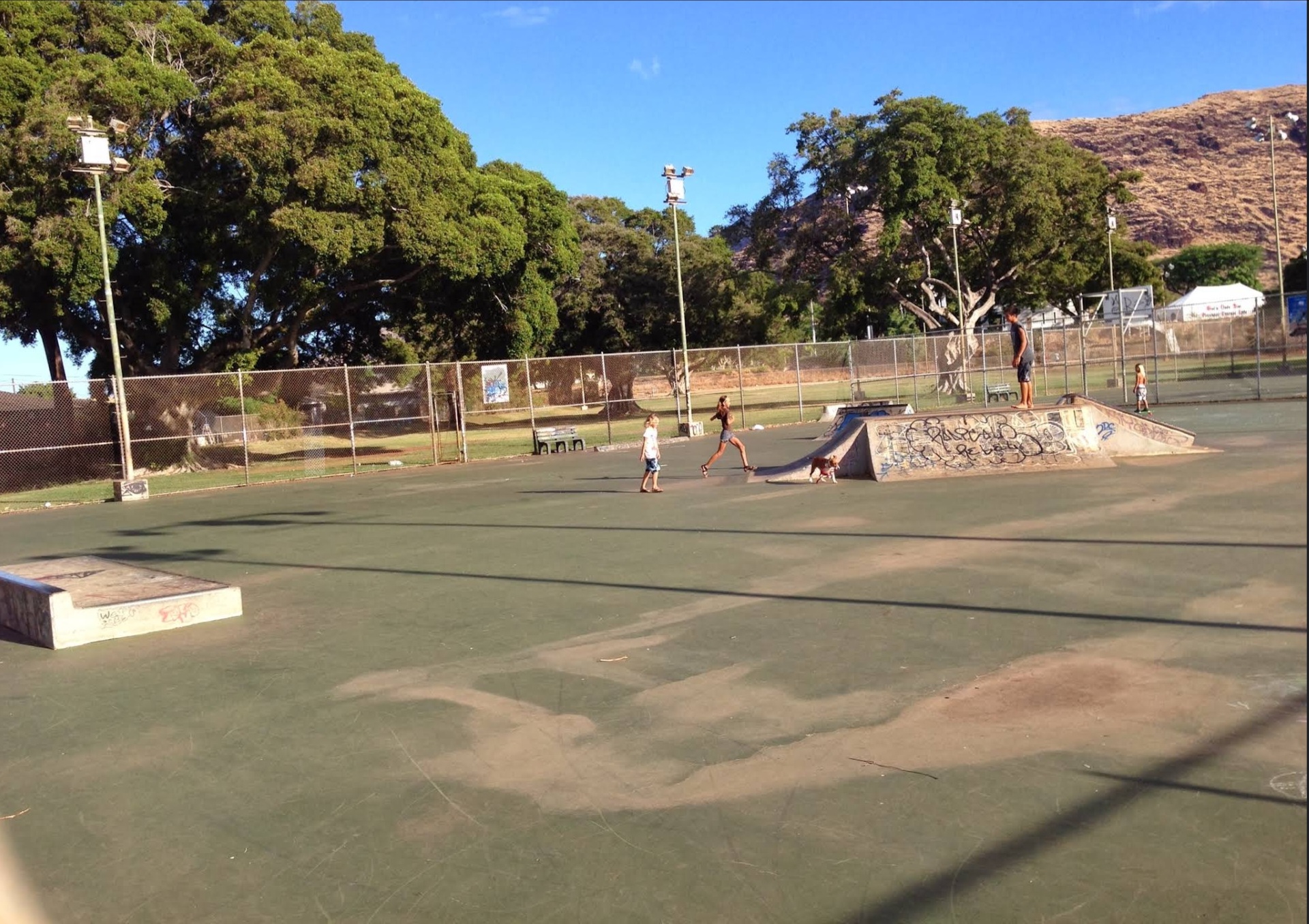 Pilila'au Skatepark - Skatedex