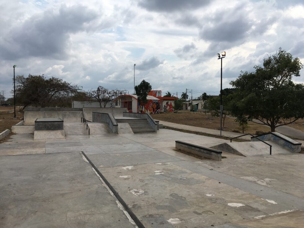 Skatepark "Los Paseos" - Skatedex